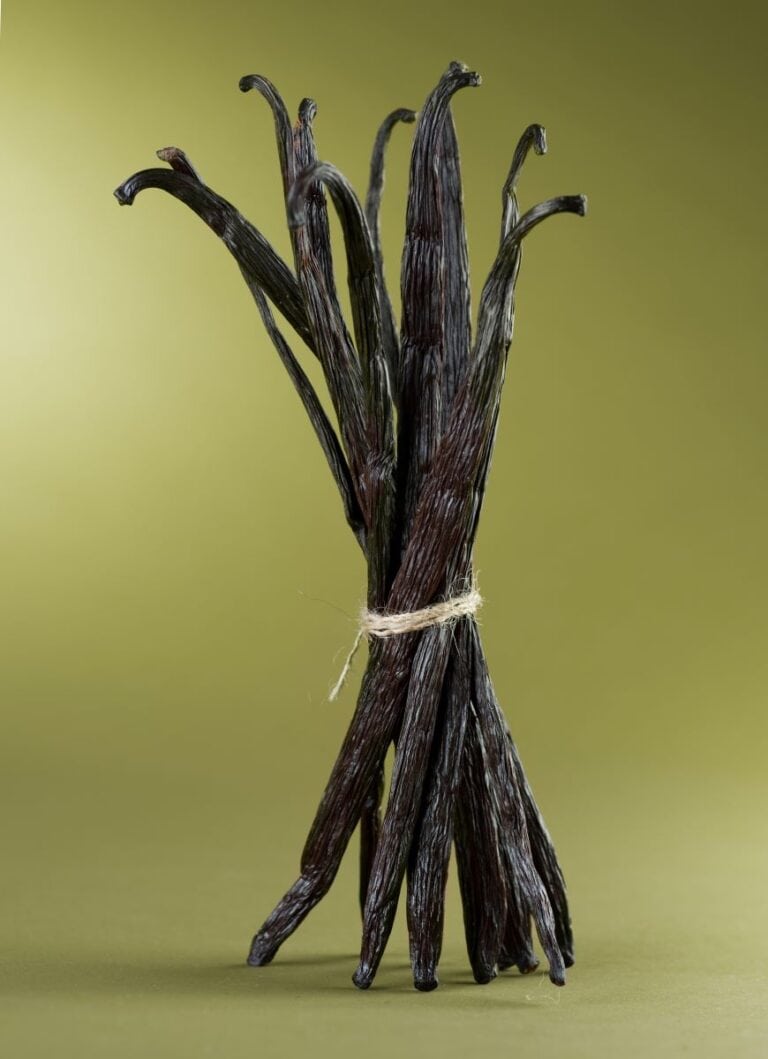 Vanilla Extract Substitutes - Real Life of Lulu
