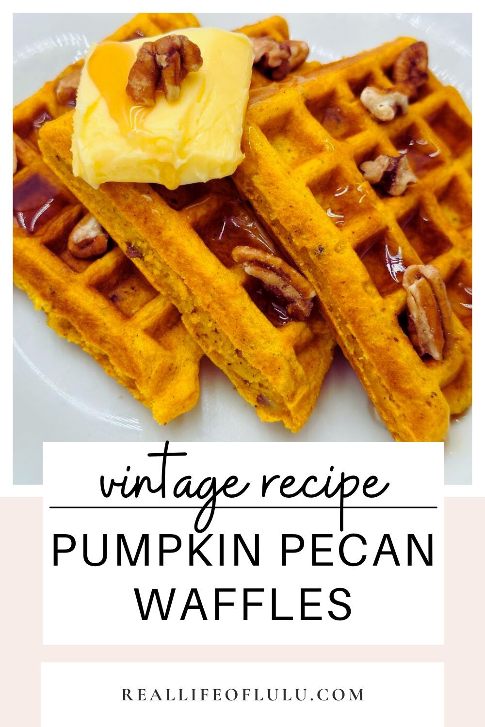 Best Pumpkin Pecan Waffles Recipe - Real Life of Lulu