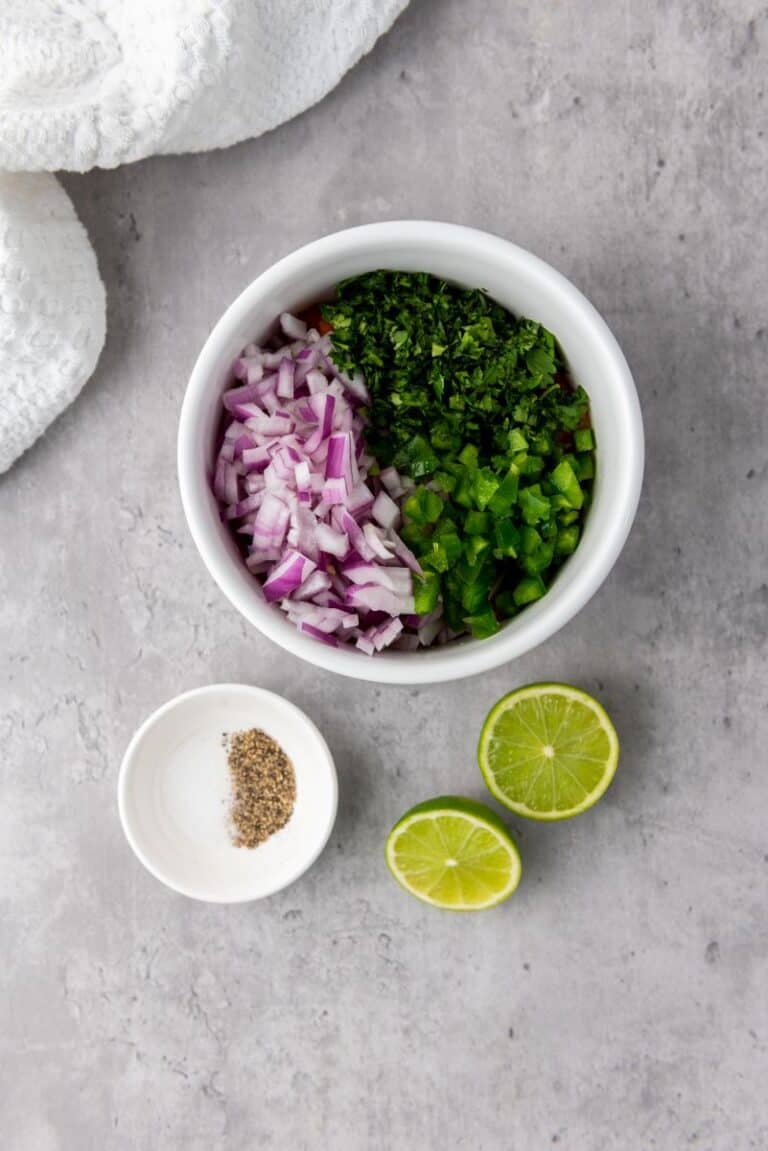 Fresh Salsa Recipe - Real Life of Lulu